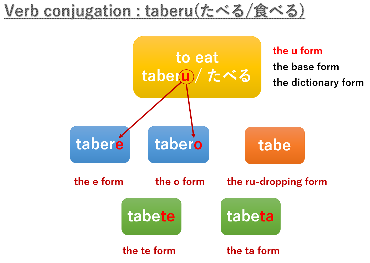 Basic 20 Japanese Verbs for beginner