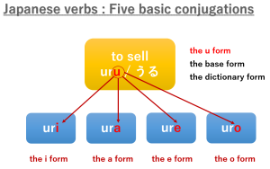 The Japanese verb forms and verb conjugation