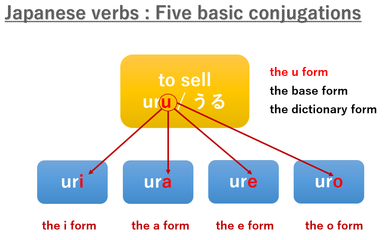 The Japanese verb forms and verb conjugation