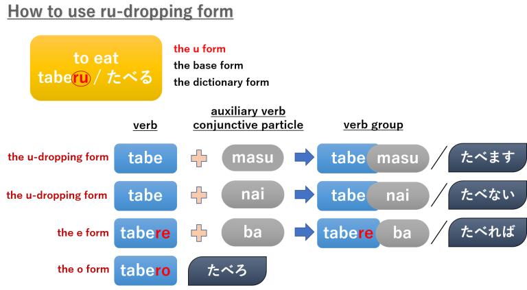 The Japanese verb forms and verb conjugation