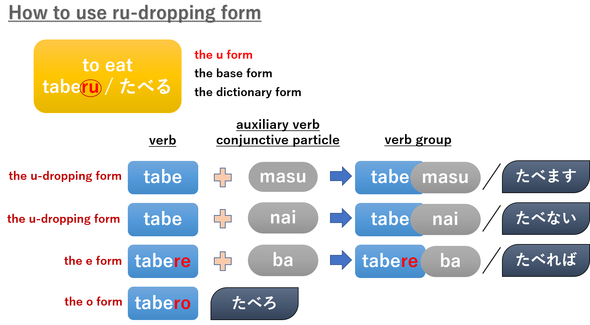 The Japanese verb forms and verb conjugation
